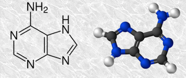 DNA | Brilliant Math & Science Wiki
