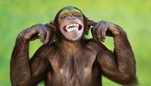 Derangements | Brilliant Math & Science Wiki