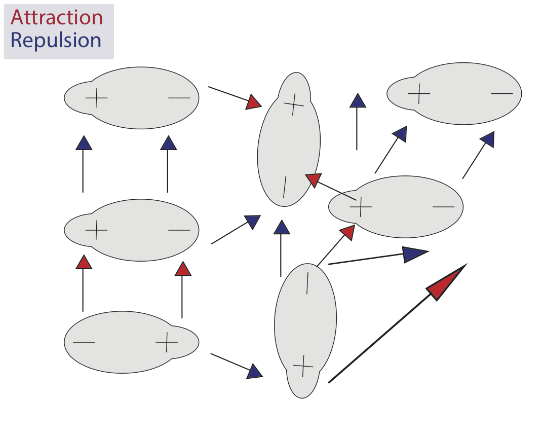 Dipole Interactions | Brilliant Math & Science Wiki